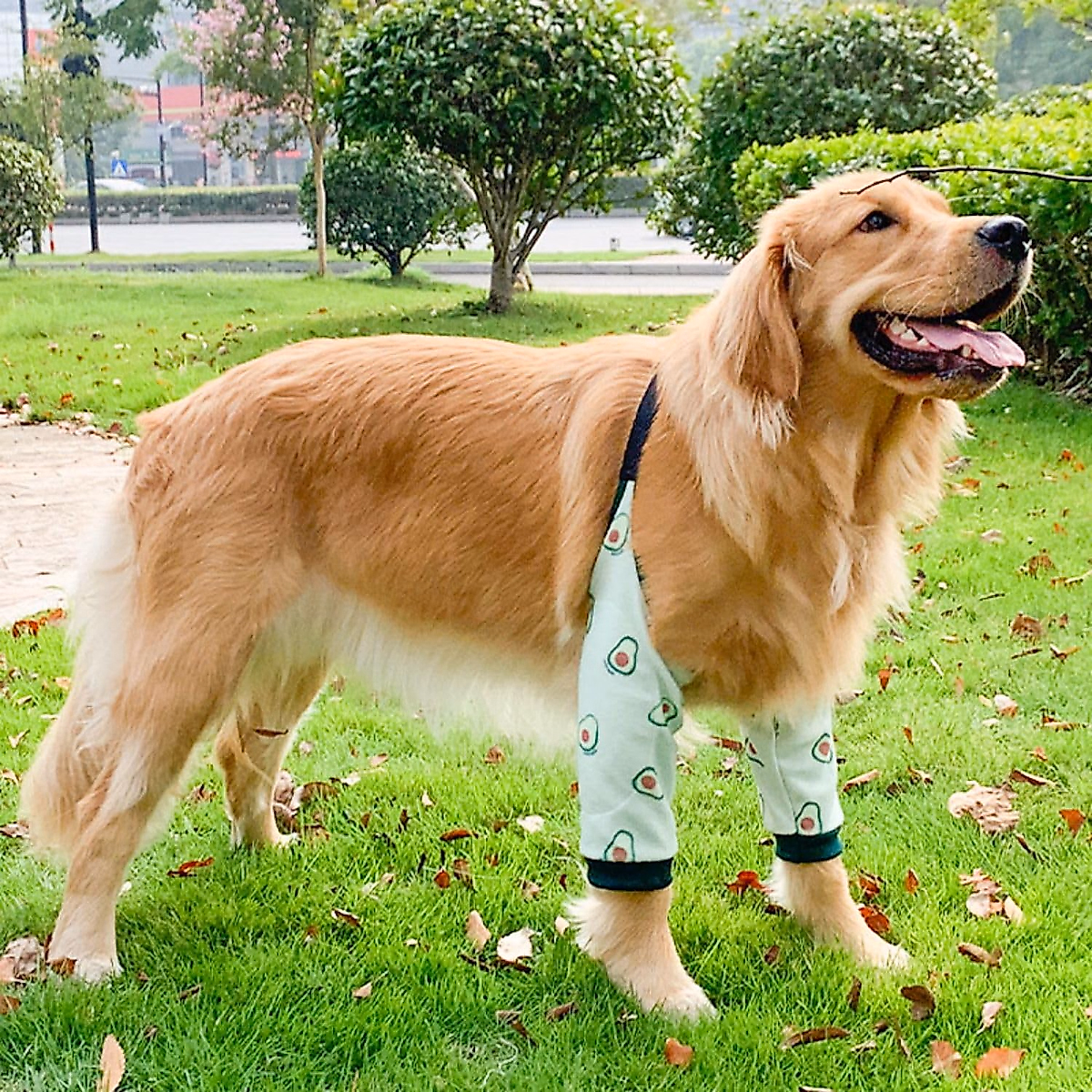 HDKUW Dog Elbow Protector, Dog Leg Recovery Sleeve for Prevent Licking Wound, Joint Sleeves with Mesh Pad for Medium Large Dogs Thickened Avocado 2XL