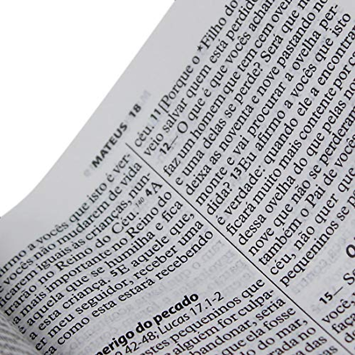 Bíblia Sagrada Letra Grande - Preta - SBB