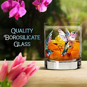Toasted Tales - Hummingbirds Whiskey Glasses | Gift for Birds Lovers | Funny Gag Party Gift Beer Tailgating | Seasonal Outdoor Decor Glassware | Forest Animals Hummingbird Gifts for Home Decor (11 oz)