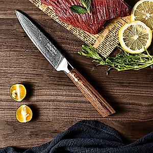 aisyoko Paring knife 5 inch sharp fruit utility knife-Japanese VG-10 super steel 67 layer Damascus steel knife-for carving and peeling-luxury gift box with color wooden handle-with scabbard