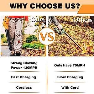 Cordless Leaf Blower - 20V Leaf Blower Cordless with 2 Batteries & Charger, Lightweight Portable Blower for Cleaning Leaf, Dust, Debris, Patio, Car, Porch （Included Goggles and Gloves）