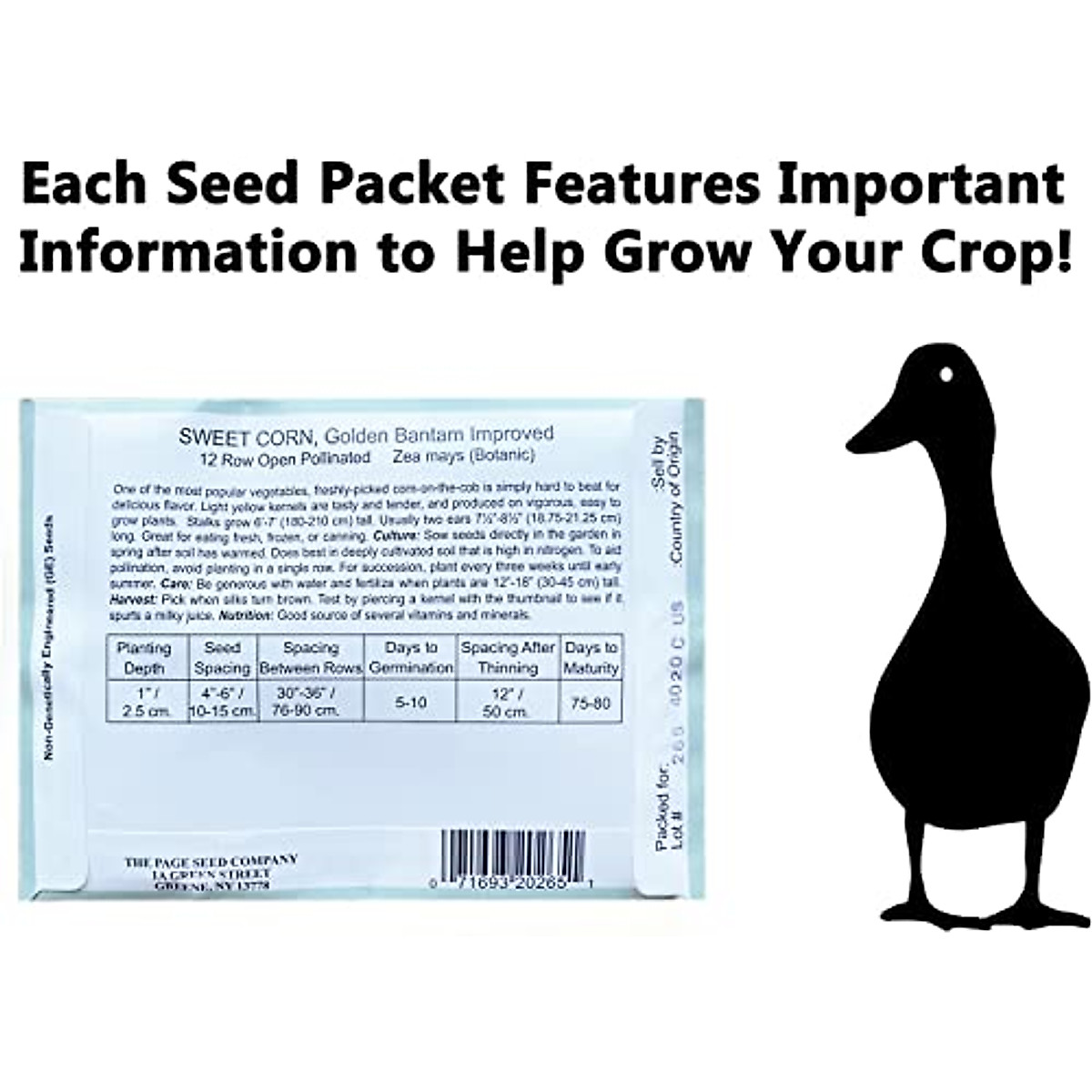 Set of 12 Sweet Corn- Golden Bantam Vegetable Seed Packs - Create a Deluxe Garden - All Seeds are Heirloom - 100% Non-GMO (Sweet Corn- Golden Bantam)