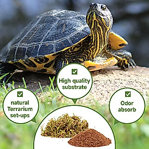 LUVCOSY Reptile Coconut Fiber Substrate & Forest Moss Combo Clean Bedding Accessories for Bearded Dragon/Snake/Lizard/Gecko/Tortoise, Tarantula Terrarium Tank Humidity Control and Odor Absorbent