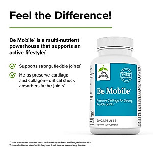Terry Naturally Be Mobile - 60 Capsules - Joint Support Supplement - with Type II Collagen, Glucosamine, Chondroitin, Hyaluronic Acid & Boswellia - Non-GMO, Gluten Free - 20 Servings