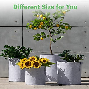 DECORLIFE 12-Pack Grow Bags, 5 Gallon Thickened Nonwoven Fabric Pots with Handles, Grey, Come with Plant Labels