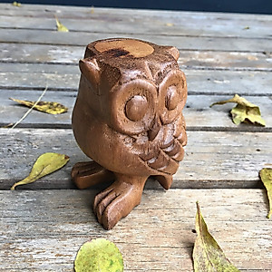 Cozinest Wooden Percussion Frog, Cricket and Owl Set 3 Musical Instrument Products From Thailand Home Office Decoration Nice Gift (Small)