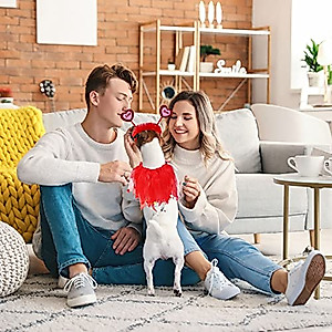 GOYOSWA Dog Valentines Outfit, Dog Valentine's Day Clothes Red Love Hearts Dog Headband Dog Collar with Red Ribbons Holiday Costumes for Small Medium Large Dogs