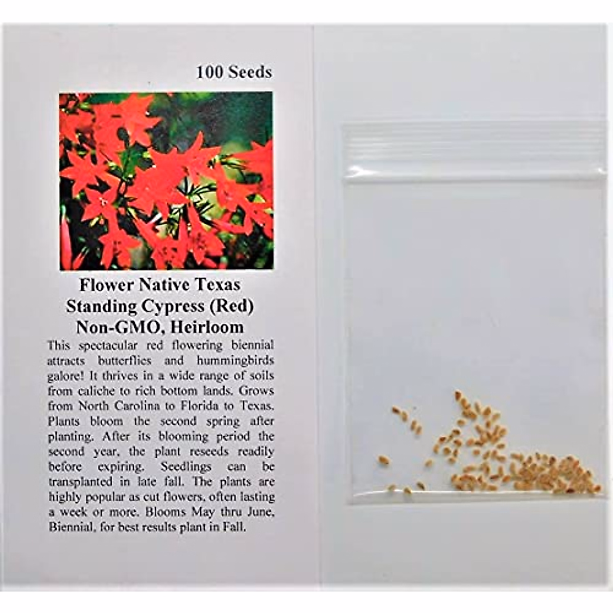 David's Garden Seeds Flower Native Texas Standing Cypress 3229 (Red) 100 Non-GMO, Heirloom Seeds