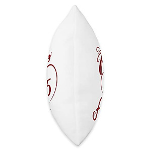 Quinceanera 15th Birthday Apparel Quinceanera Mis 15 Anos 15th Quince Birthday Throw Pillow, 18x18, Multicolor