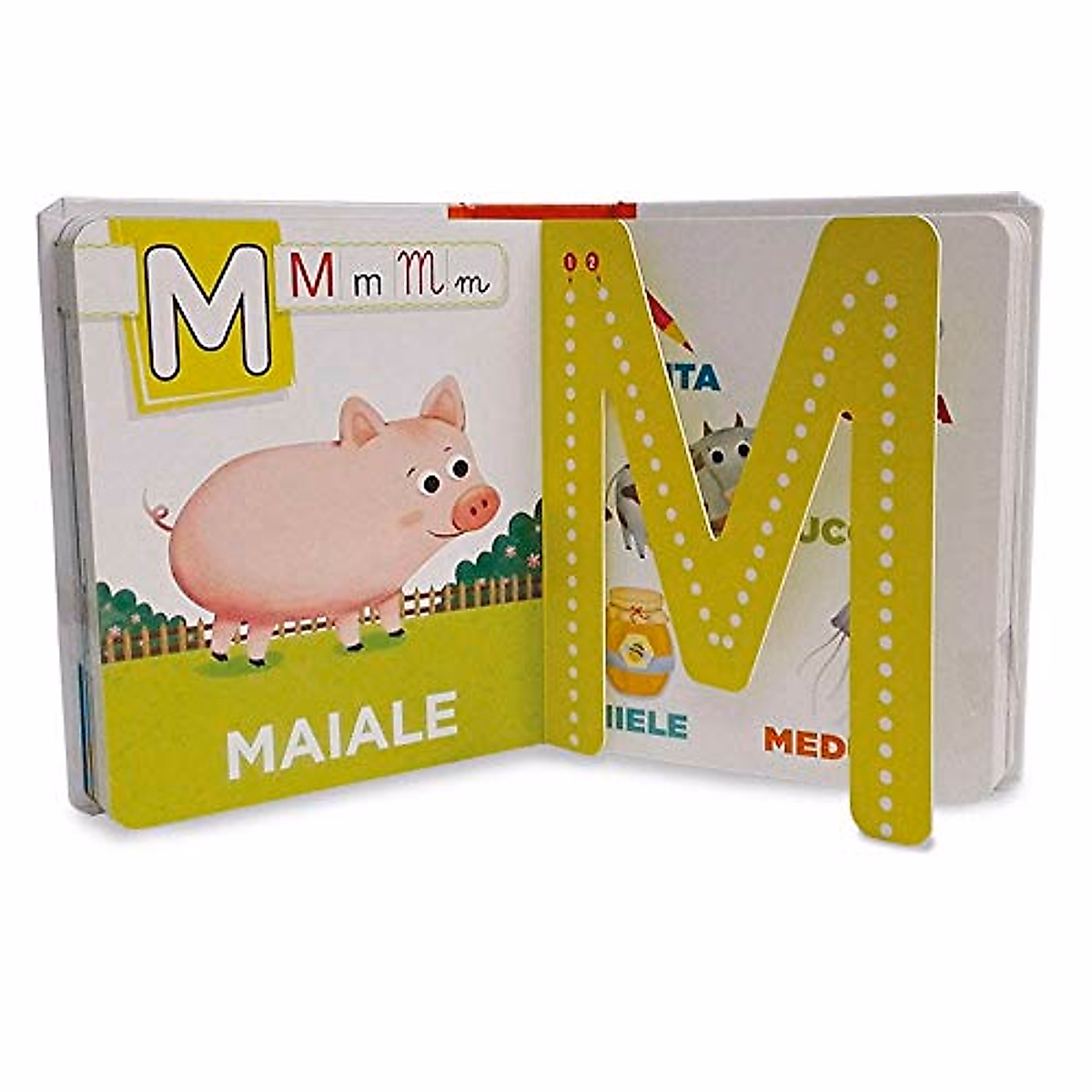 ABC a chiare lettere. Ediz. a colori