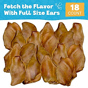 FETCHERONI Whole Pig Ears for Golden Retriever Dogs Large - 18 Pack Long Lasting Dog Chews – Dog Treats One Ingredient Delicious All Natural Flavor – Easy to Digest Dog Treats for Large Dog
