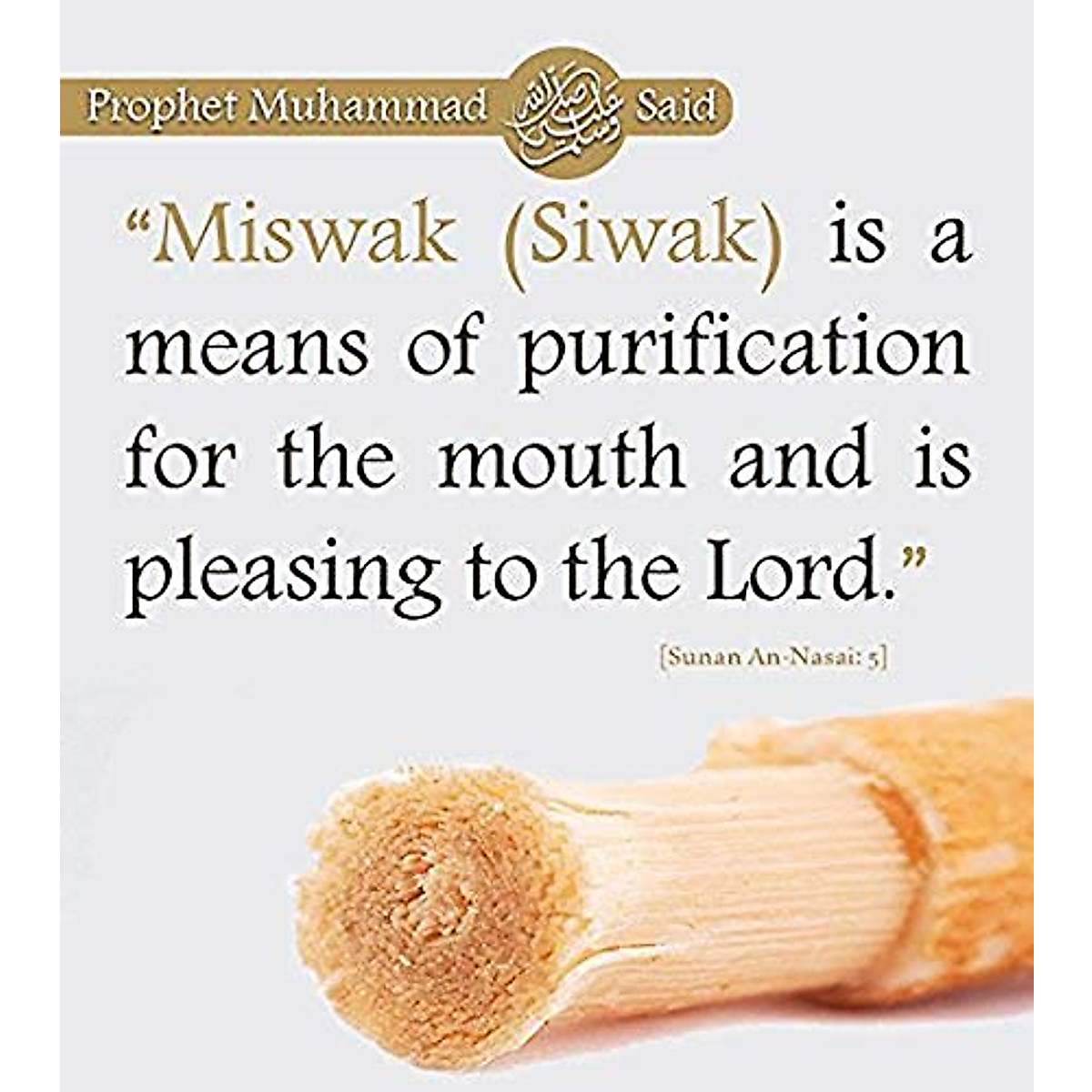 30 Pcs Al Falah Siwak Meswak Miswak Miswak Arak Peelu Al Falah Chewing Stick With Natural Flavor Organic Herbal Toothbrush Vacuum Sealed Breath Freshener Thirty Tooth Sticks Plus 1oz / 28 gm Cloves