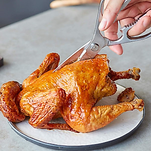 WELLSTAR Sharp Kitchen Knives 5 Piece Set, Chef Carving Bread Utility Paring Knife + Come Apart Heavy Duty Chicken Meat Scissors Shears with German Stainless Steel Blade + Onion Slicing Holder