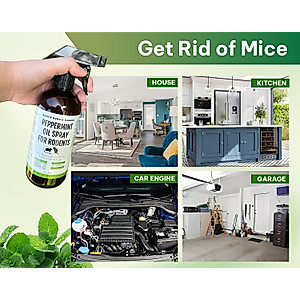 Kate's Home & Garden Peppermint Oil Spray for Rodents, Mice, Squirrels with Humane Trap. Rodent Repellent Indoor for Car Engines & Outdoor (16oz, Non Toxic)