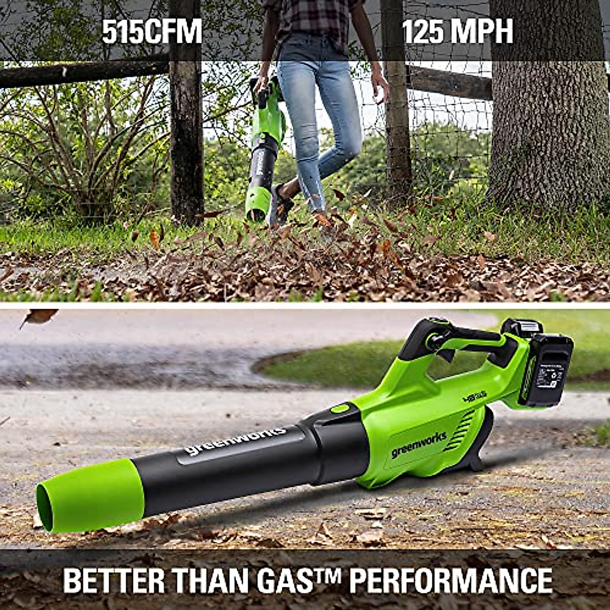 Greenworks 2 x 24V (48V) Cordless Axial Leaf Blower (125 MPH / 515 CFM / 125+ Compatible Tools), (2) 2.0Ah Batteries and Dual Port Charger Included