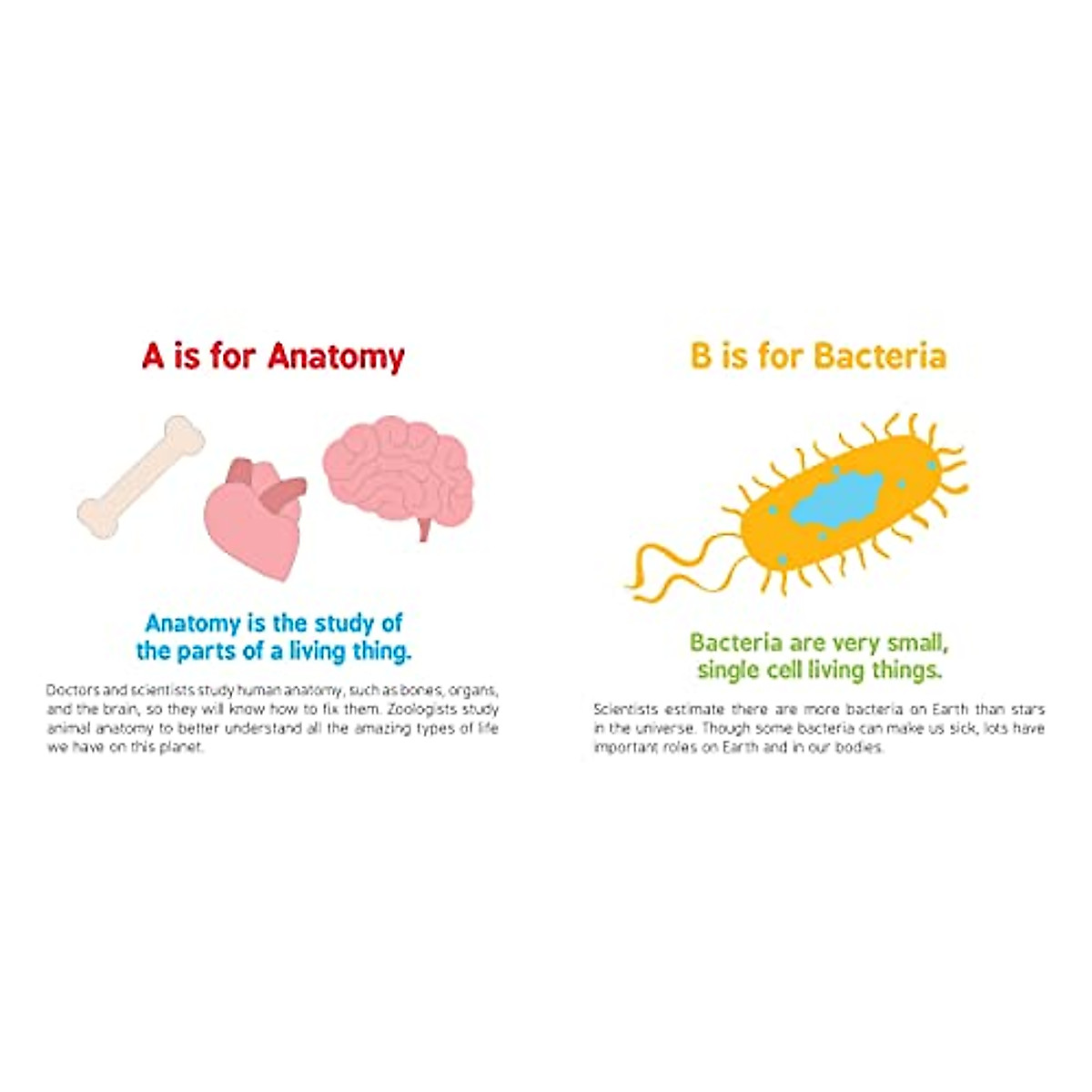 ABCs of Biology: An ABC Board Book of First Biology Words from the #1 Science Author for Kids (STEM and Science Gifts for Kids) (Baby University)
