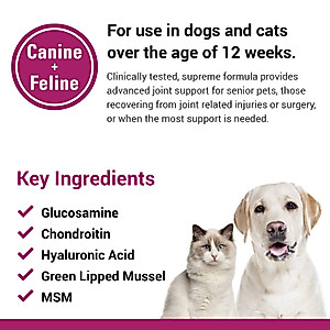 Vet Classics ArthriEASE-Gold Advanced Joint Support for Dogs, Cats, – Supports Pet Flexibility, Discomfort – Helps Improve Dog Joint Movement, Cat Cartilage Health - Includes Antioxidants – 120 Ct.