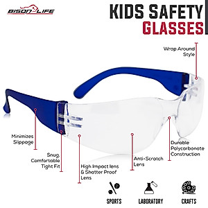 BISON LIFE Safety Glasses for Kids 12 Pack | ANSI Z87 Impact and Scratch Resistant, Clear Lens Assorted Color Temples, Child Youth Size Science Glasses Variety Pack