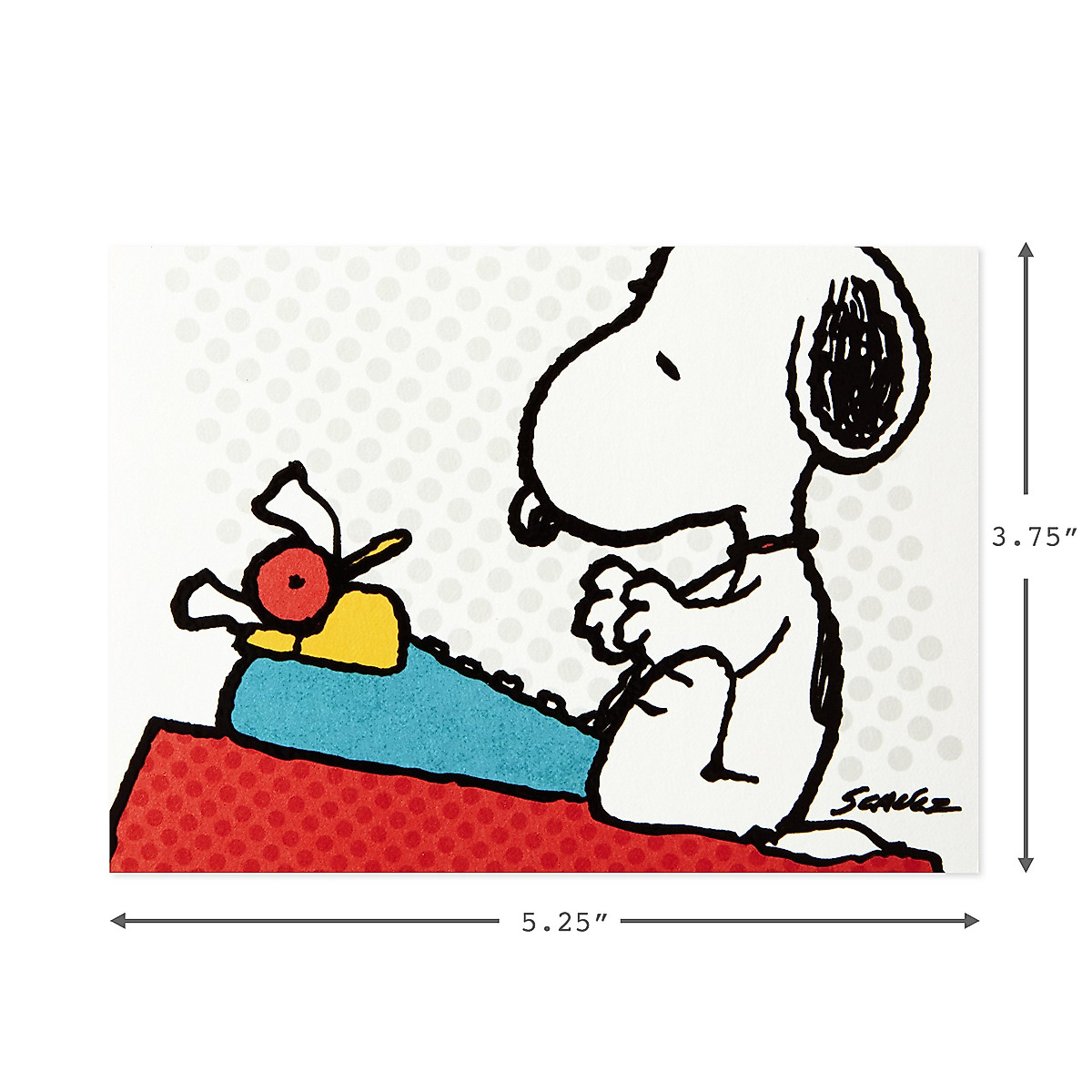 Hallmark Peanuts Blank Cards, Snoopy Typing (10 Cards with Envelopes)