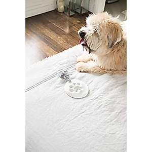 Pearhead DIY Pawprints Keepsake Kit for Dogs Or Cats, Christmas Ornament, Holiday Home Décor for Pet Lovers, Clay Paw Print Imprint, White