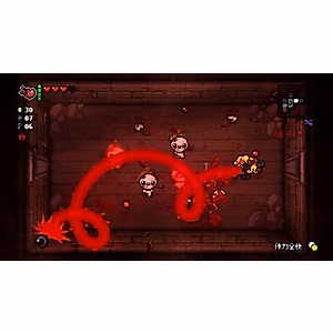 The Binding of Isaac: Repentance(ザ バインディング オブ アイザック リペンタンス) -Switch