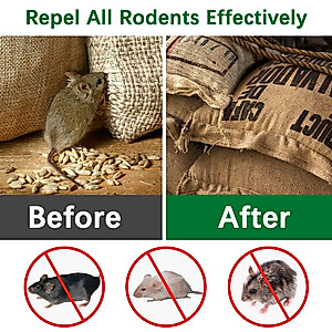 SUAVEC Rodent Repellent, Mice Mouse Repellent Peppermint, Rat for House, RV Deterrent, Away Repellant Campers, Mint - 8 Packs Rodent-8PGreen