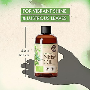 The Grow Co Organic Neem Oil - Pure Concentrate, Cold Pressed for Plants Indoor and Outdoor - Leaf Shine Spray (8 oz)