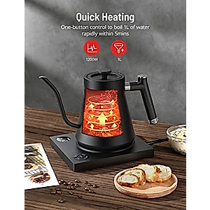 Paris Rhône Gooseneck Electric Pour-Over Kettle, Temperature Variable Kettle for Coffee Tea Brewing, 1L Stainless Steel Kettle, Temperature Holding, Built-in Stopwatch, Button Control, Black