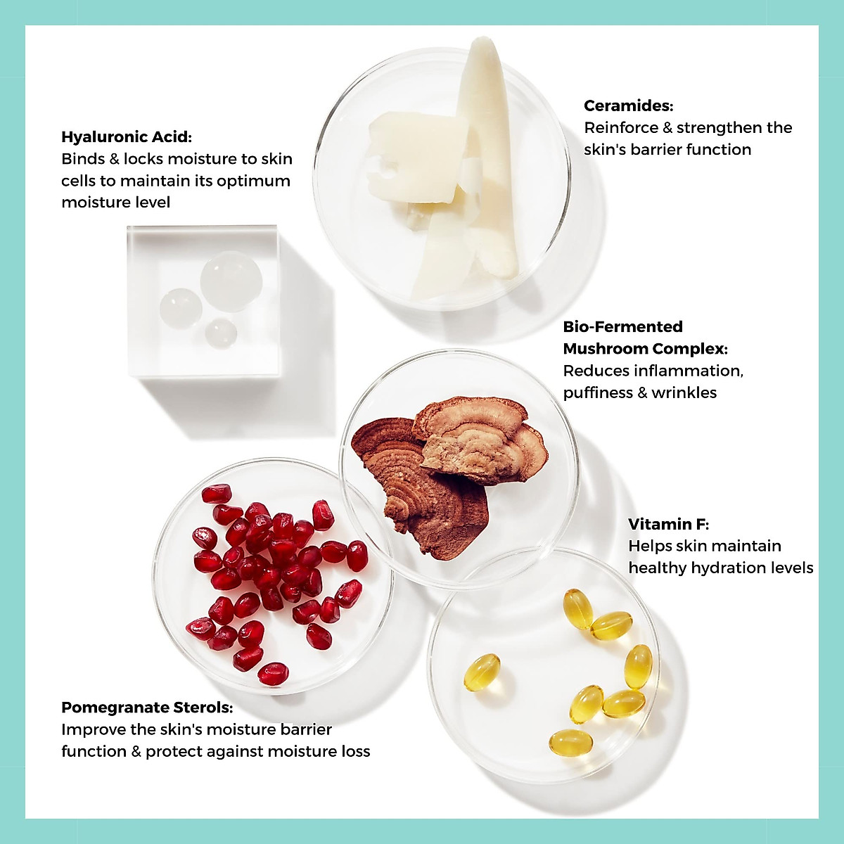 BeautyStat Probiotic 24HR Moisture Boost Cream - Daily Moisturizer Face Cream with Probiotics, Ceramides, Hyaluronic Acid for Natural Anti Aging for Dull, Dry Skin, Fine Lines, Wrinkles (1.7oz / 50ml)