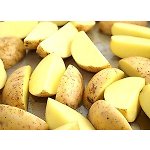 Golden Yukon Nuggets Heirloom Potato Seed 3 LBS Virus Free Non GMO