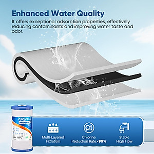 PUREPLUS 5 Micron 10" x 4.5" Whole House Sediment and Carbon Water Filter Replacement Cartridge for GE FXHTC, GXWH40L, GXWH35F, GNWH38S, Culligan RFC-BBSA, WRC25HD, PP10BB-CC, Pentek RFC-BB, 2Pack