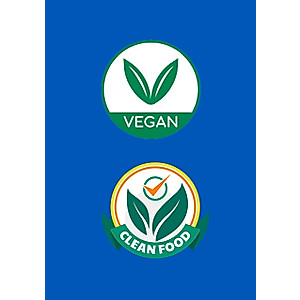 Peanut Butter Dark Chocolate & Sea Salt "New and Improved Glo" Vegan Protein Bars, 12g of Plant-Based Protein with Only 3g of Sugar, Pack of 12