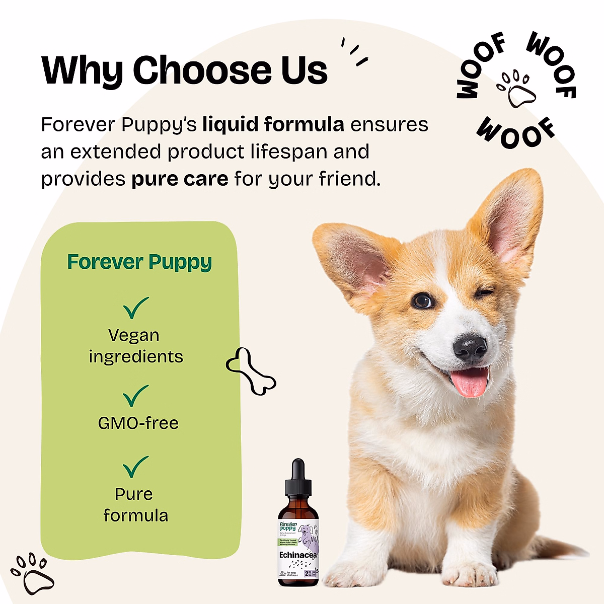 Echinacea Tincture for Dogs - Immune Support for All Breeds & Sizes w/Echinacea Herb - Immune Health Drops for Pets - Dog Food Supplements for Immunity w/Echinacea Liquid Extract - 2 oz