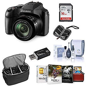 Panasonic Lumix DC-FZ80 Digital Point & Shoot Camera - Bundle with 16GB SDHC Card, Camera Bag, Cleaning Kit, Memory Wallet, Card Reader, Mac Software Package