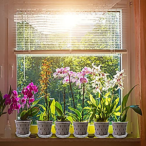 MFXIP 5.5 Inch 8 Pack Orchid Pots with Holes and Saucers, Clear Repotting, Plastic Plant Pot for Indoor Outdoor Flower Plants Gardening Pots