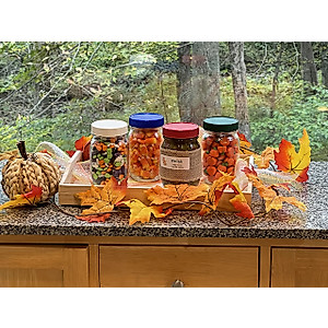 Jarming Collections Plastic Mason Jar Lids - Regular Mouth Mason Jar Storage Lids, Reusable Leak Proof Colored Caps, Covers 2.75 Inch Mouth Glass Mason Jars, Set of 12 (White)