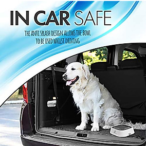 All Fur You Dog Water Bowl Splash Proof Anti Spill Slow Feeder Dish Cat Water Bowl No Slip Dispenser 35oz (1L) Drinking for Dogs Cats In Car Crate Safe Portable Pet Bowl Travel Dog Bowls Small Non Tip