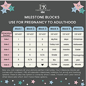 Pink Baby Monthly Milestone Blocks with Bag. Baby Age Blocks for Girl or Boy Baby Photo Props and Baby Shower. Month Baby Milestone Blocks with Grammatically Correct Month and Year