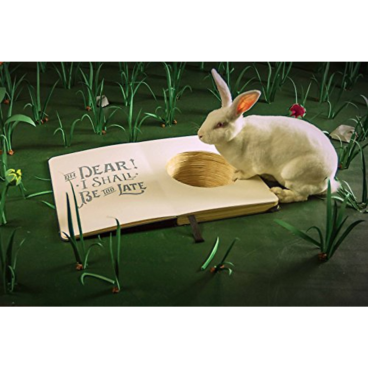 Moleskine Limited Edition Alice in Wonderland Notebook, Hard Cover, Pocket (3.5" x 5.5") Plain/Blank, Powder Blue, 192 Pages