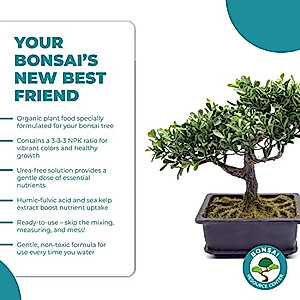 Bonsai Tree Food | Liquid Fertilizer for Bonsai Trees - 8 Fluid Ounces