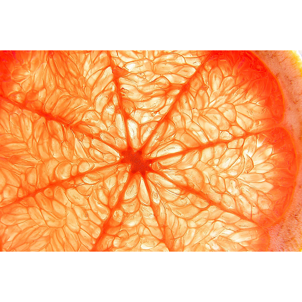 TAMRON - 18-300mm F/3.5-6.3 Di III-A VC VXD - Zoom Lens for APS-C mirrorless Sony Cameras - Model B061S