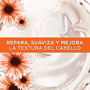 L'Oreal Paris EverSleek Sulfate Free Keratin Caring Shampoo, with Sunflower Oil, 8.5 Fl; Oz