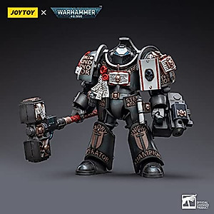 JoyToy 1/18 Warhammer 40,000 Grey Knights Terminators Caddon Vibova Action Figures 1