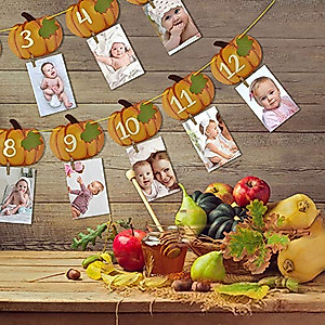 Rainlemon Pumpkin Photo Banner Fall Autumn Little Pumpkin Boy Gril 1st Birthday Party Photo Garland 12 Months Photo Prop