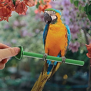 POPETPOP Small Bird Toys 50pcs Bird Perch Bird Stand Toy Plastic Perch Platform Paw Grinding Stick Bird Cage Accessories for Cockatiels Lovebirds Small Parakeets Parrotlets Bird Toy