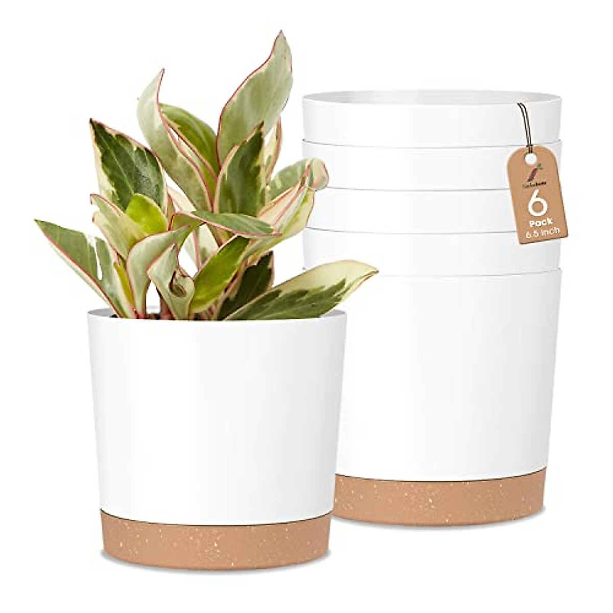 Plastic Plant Pots,6.5 inch Flower Planter Pots with Trays,Modern Stylish Indoor & Outdoor Garden Pots for All House Plants,Flowers,Herbs,Succulents (White, 6)