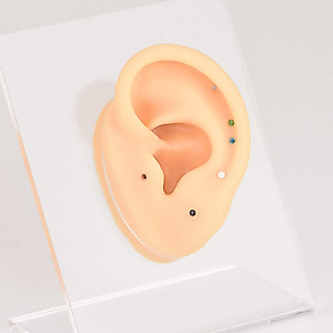 YOFANST 8pcs 20G Glass Nose Studs Pin Bone Colorful Septum Set Nose Piercing Jewelry for Women Men