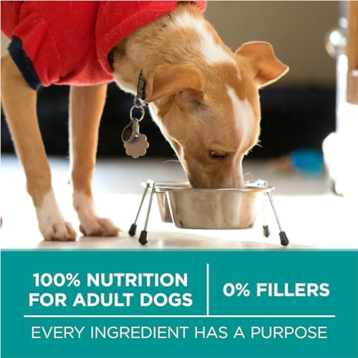 Purina One Plus Digestive Health Formula Dry Dog Food Natural with Added Vitamins, Minerals and Nutrients - (Pack of 4) 8 lb. Bags