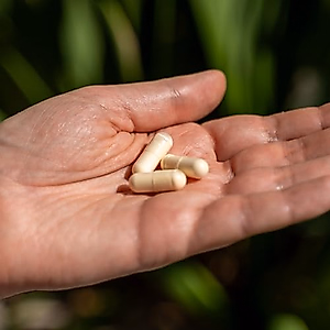 Omega-3 Fish Oil for Dogs by Pawsomely Healthy - High in EPA, DHA - Allergies, Itching, Shedding - Supports Immune System, Skin, Coat, Heart, Joints - 90 Powder Capsules