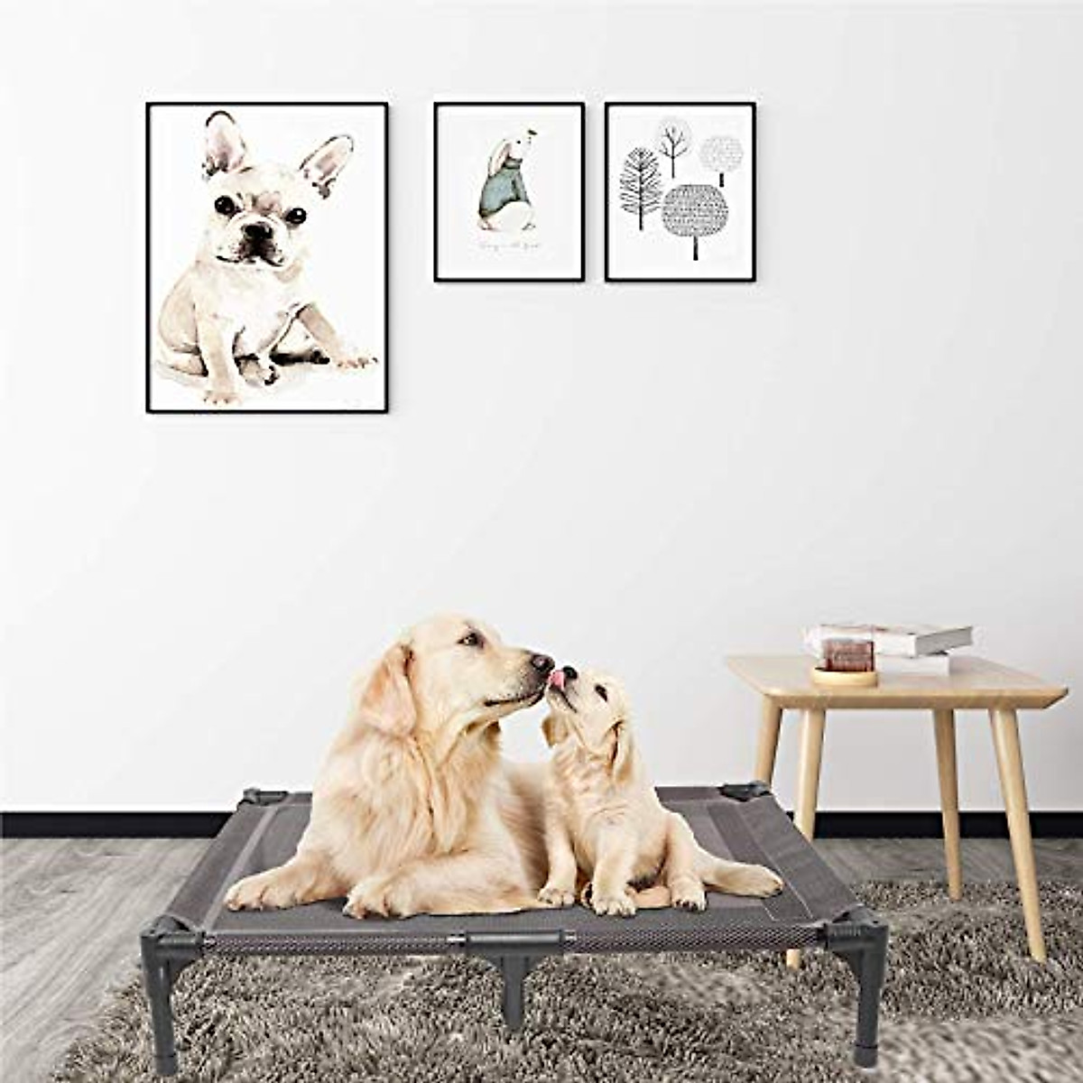 suddus Elevated Dog Beds Waterproof Outdoor, Portable Raised Dog Bed, Dog Bed Off The Floor, Dog Bed Easy Clean Indoor or Outdoor Use, Multiple Sizes